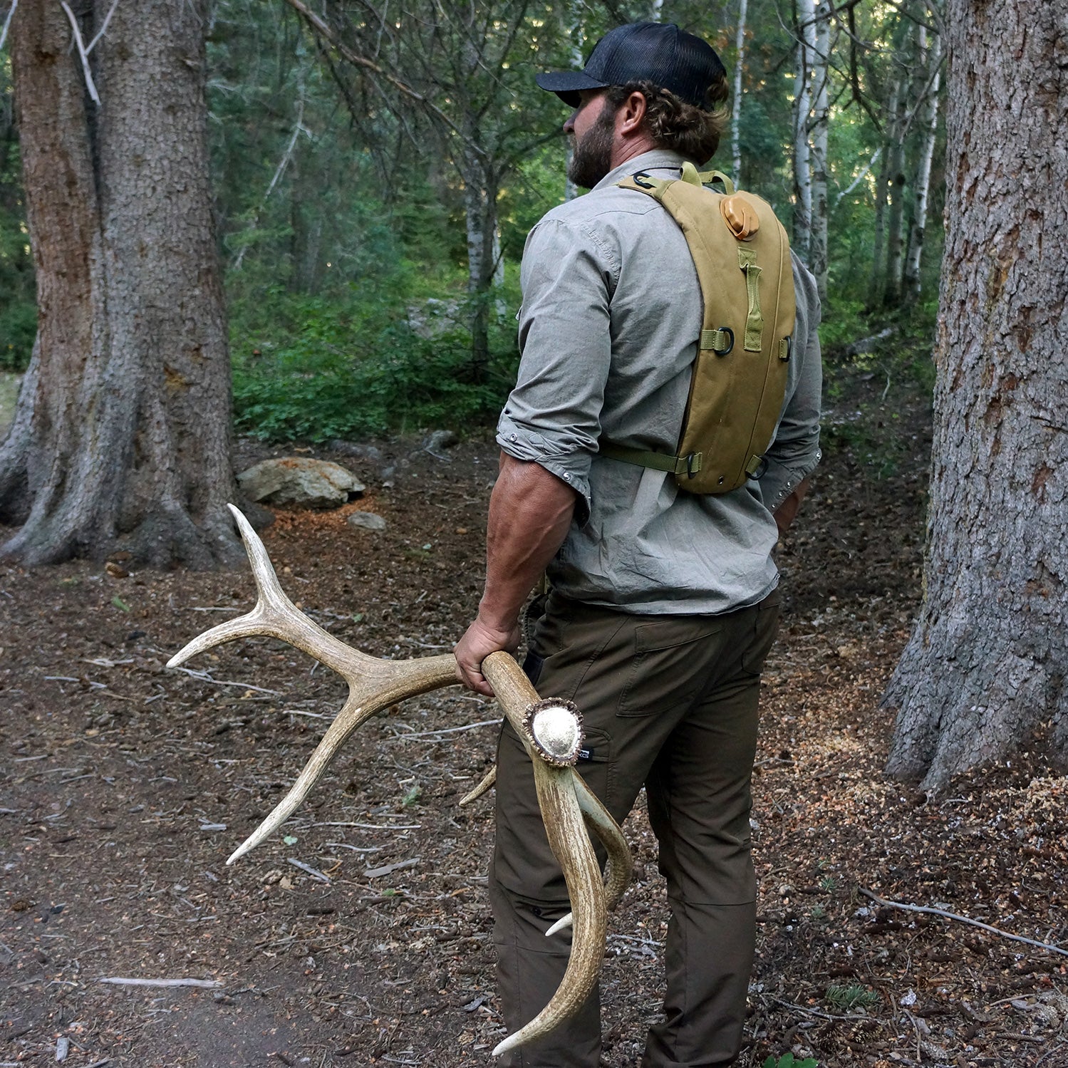 Cases & Packs – Alpine Products