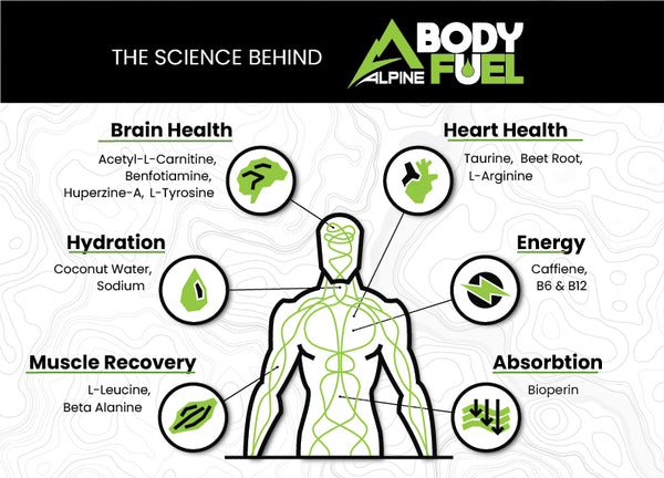 Body Fuel Sampler 6 Pack – Alpine Products